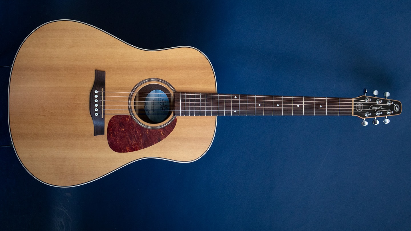 New Listings - Willie's Guitars